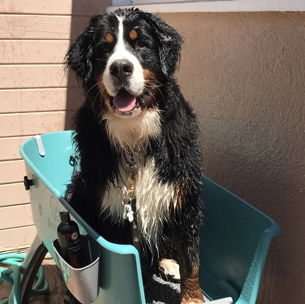 Booster Bath Replacement Parts