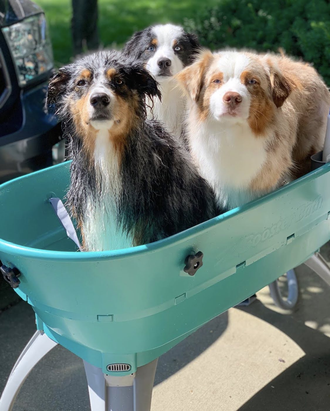 Booster Bath Replacement Parts