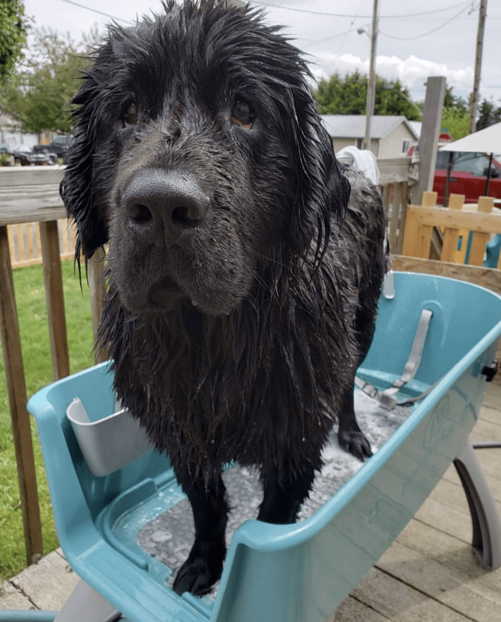 Booster Bath Replacement Parts