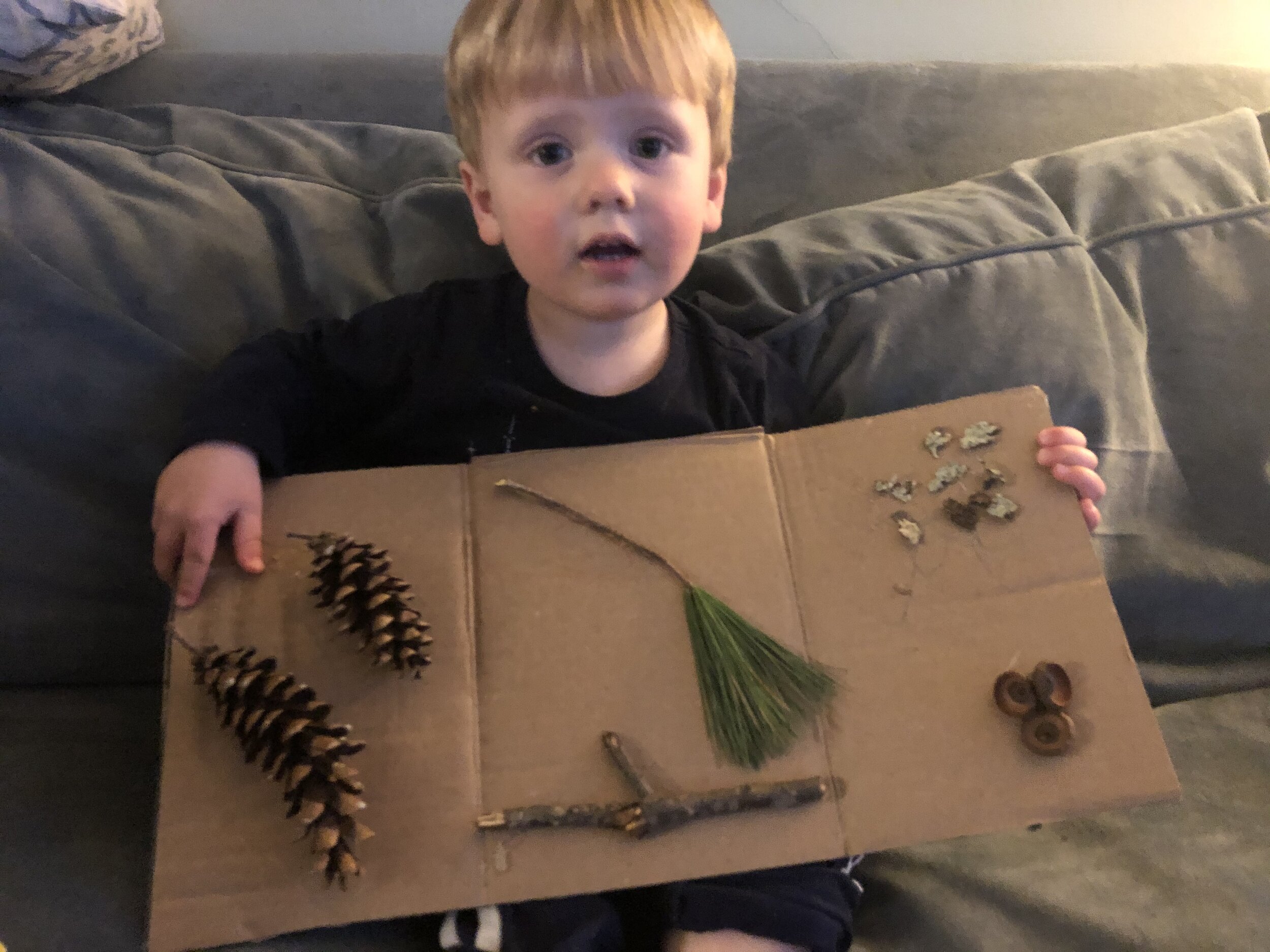 Nature Activities - Indoors and Out — Understanding the Nature of Childhood