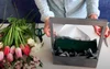 Master the Art of DIY Flower Arrangements: Expert Tips and Techniques — AT