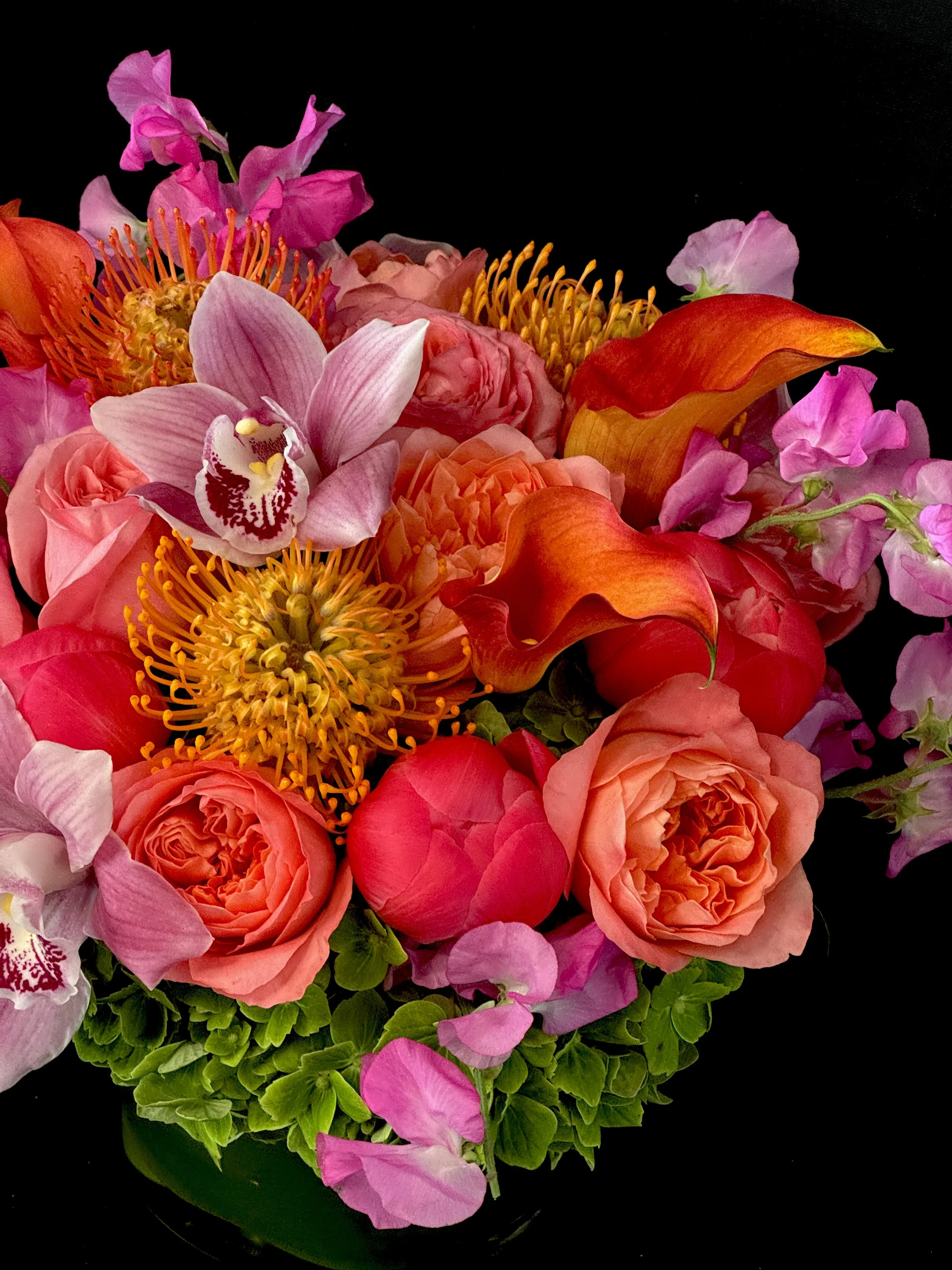 Coral Spritz by Arugula Tango — AT