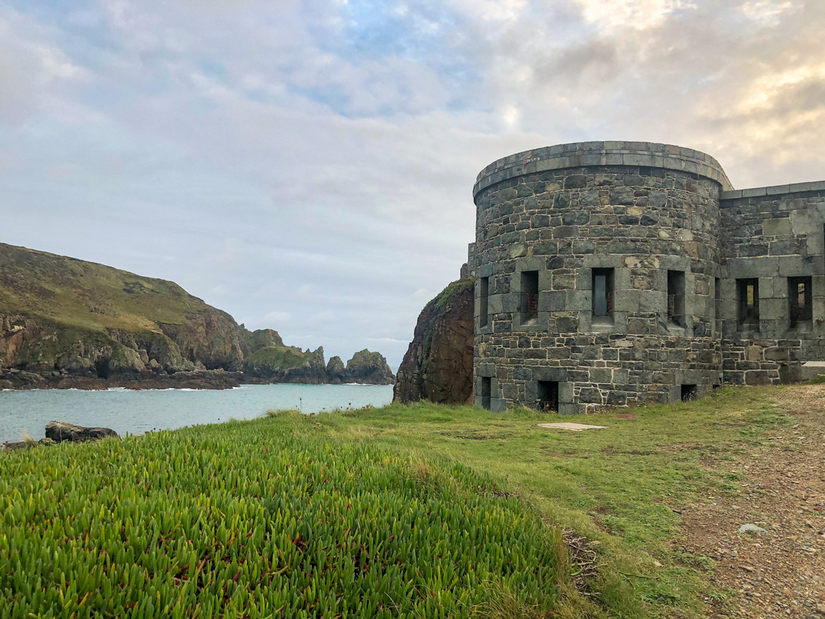 Daring dairy: The World War II rescue of Alderney Island’s cows — Hoard ...