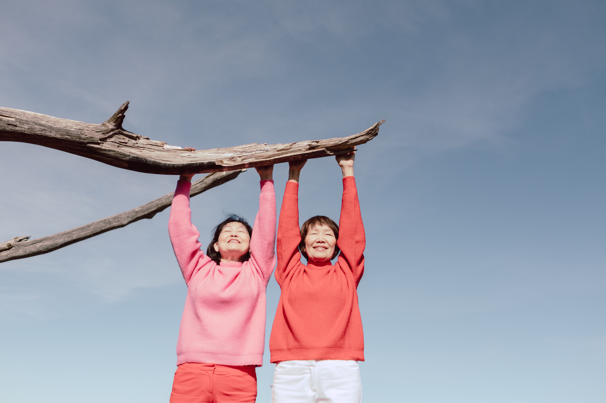 Old Friends Series — DIANE VILLADSEN