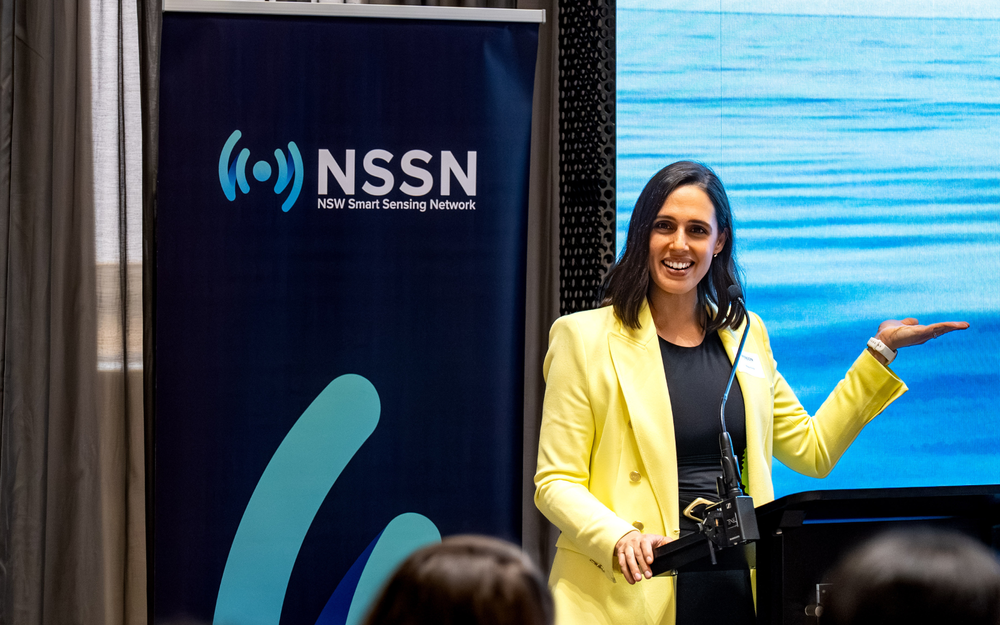 From Ranger Stacey to whale snot: How Dr Vanessa Pirotta is ...