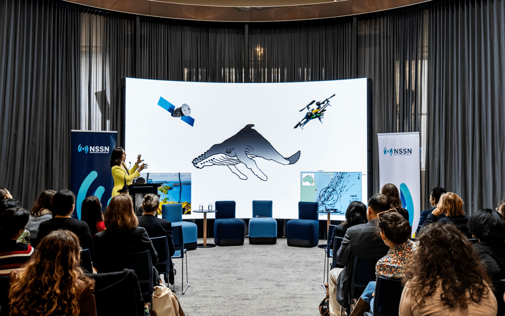 From Ranger Stacey to whale snot: How Dr Vanessa Pirotta is ...