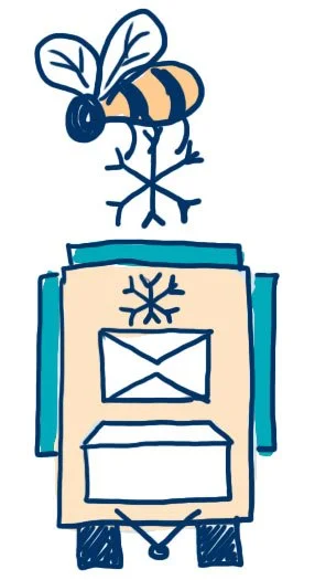 Programs — Footprint Project