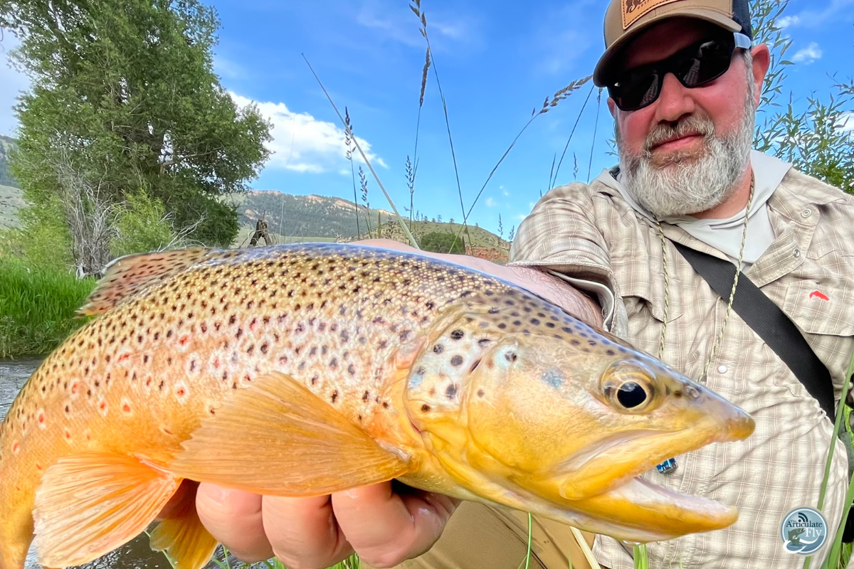 The Articulate Fly Fly Fishing Podcast