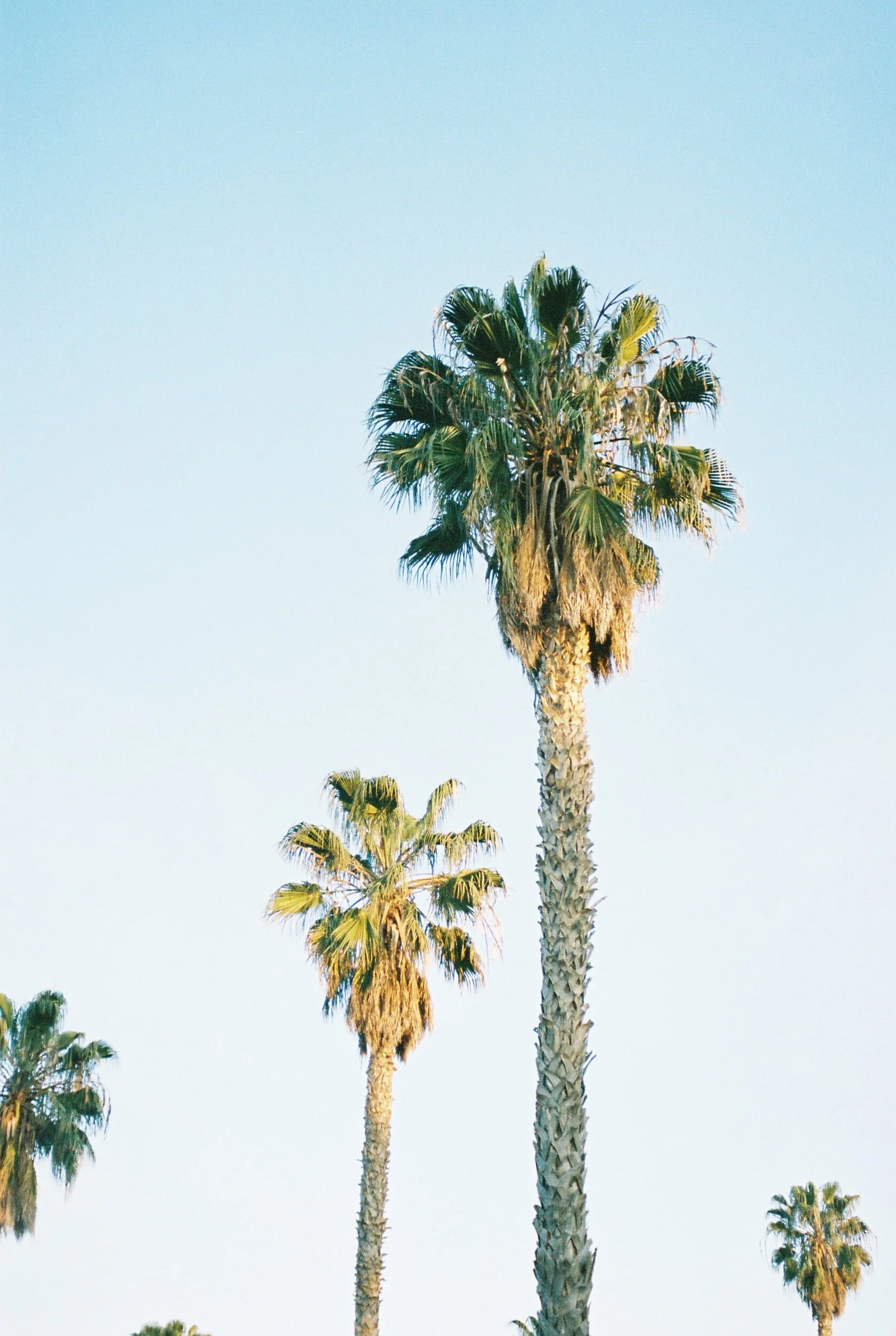 35mm — AUDRIE STORME - content creator + video editor