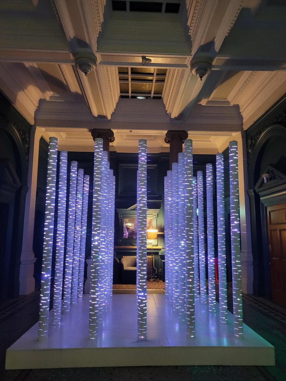 Scintillating Lights