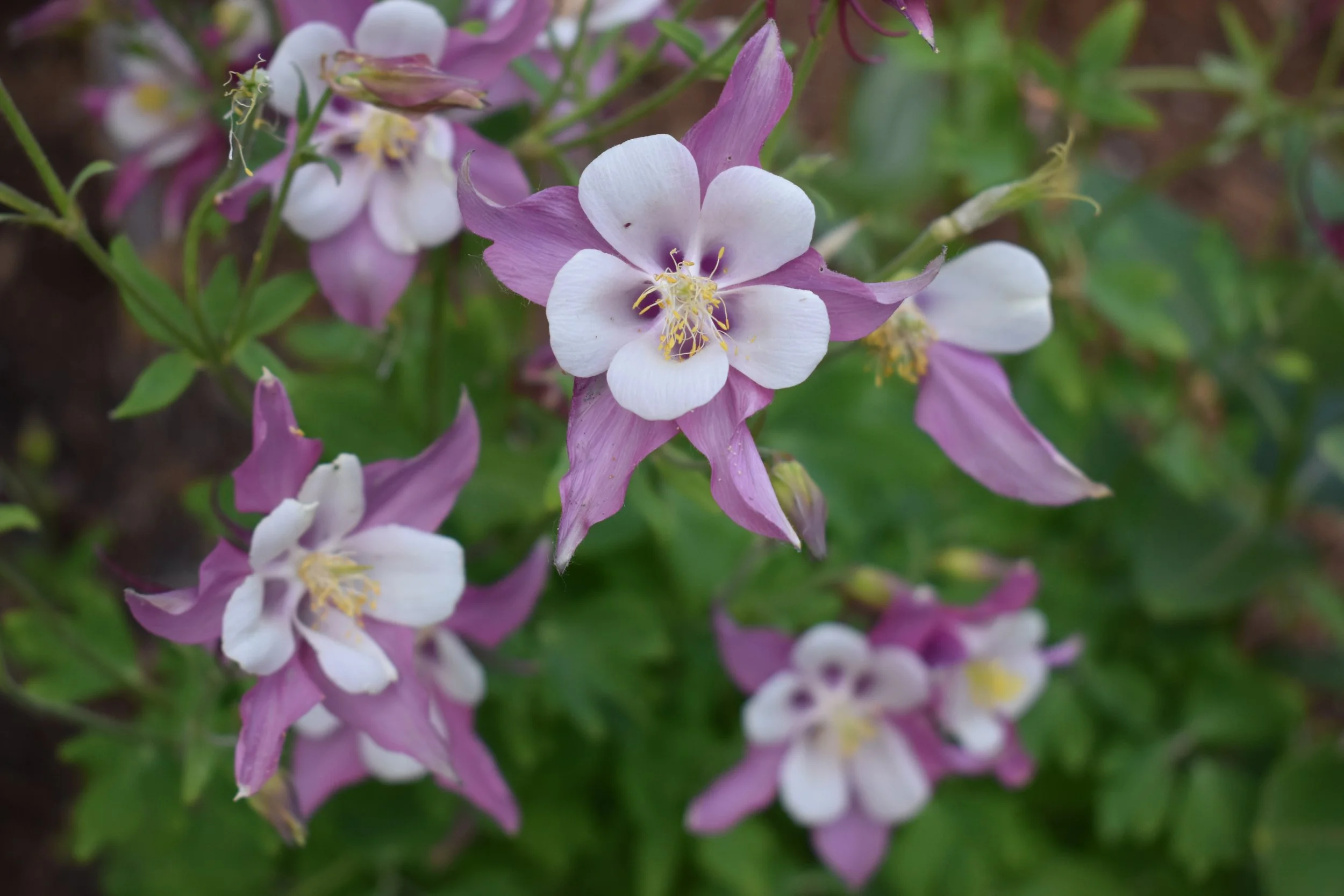 Current Students and Graduates — Building Beauty