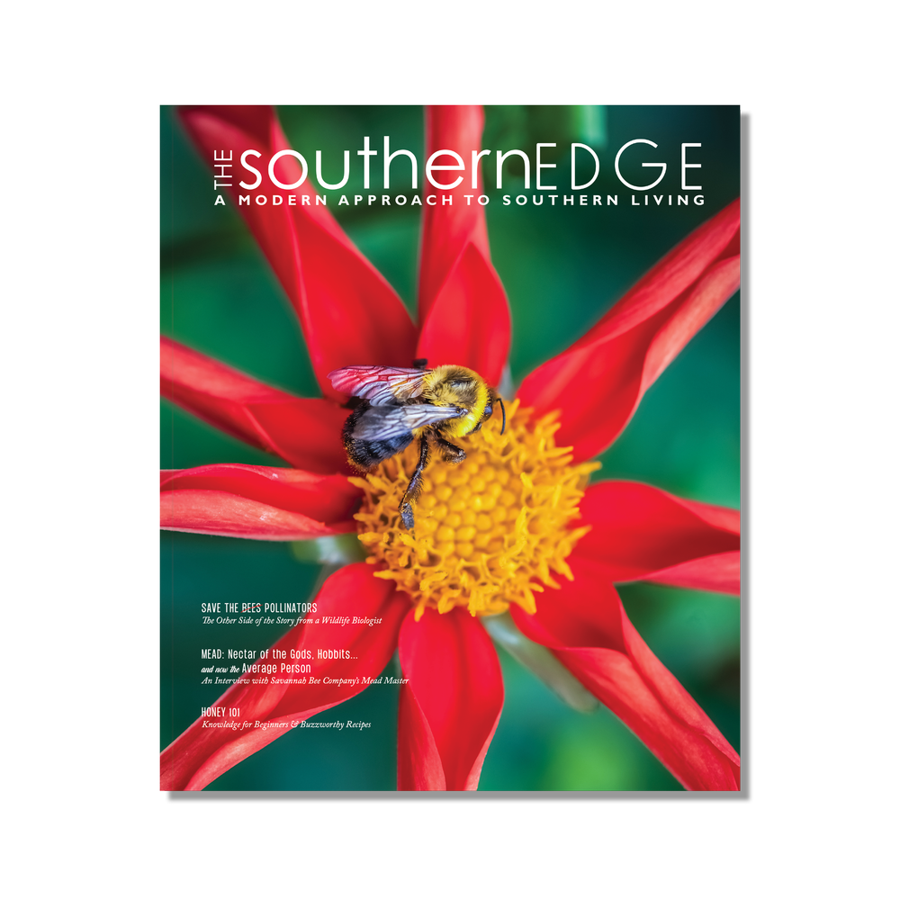 Digital Issues — The Southern Edge