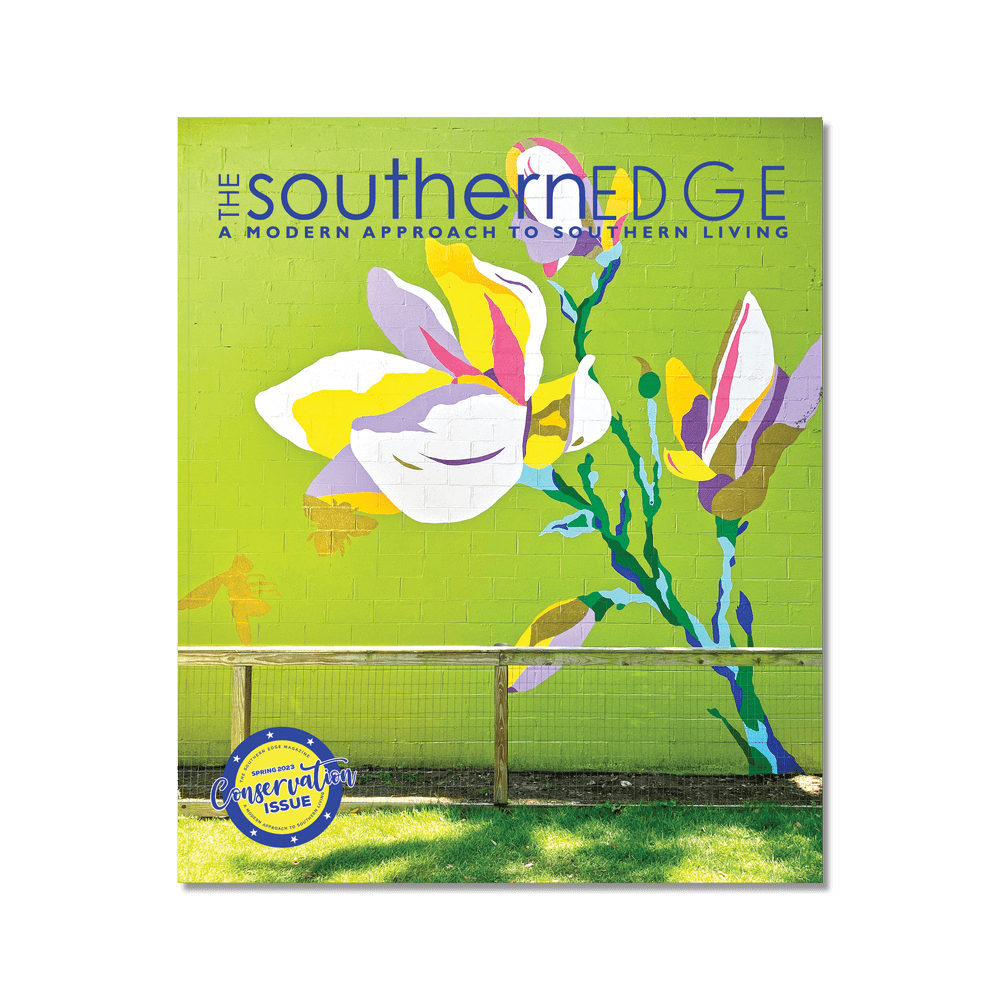 Digital Issues — The Southern Edge