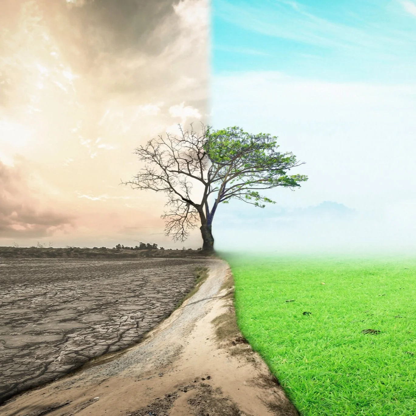 Employment Law, Employer Defense Attorney Orange County CA - Bailey Law ...