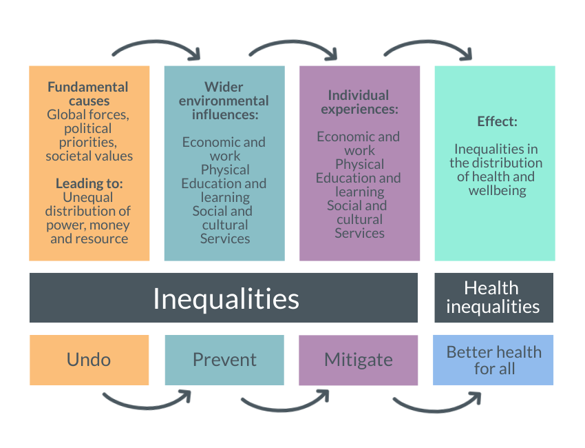 Health inequalities and the social determinants of health — CHEX