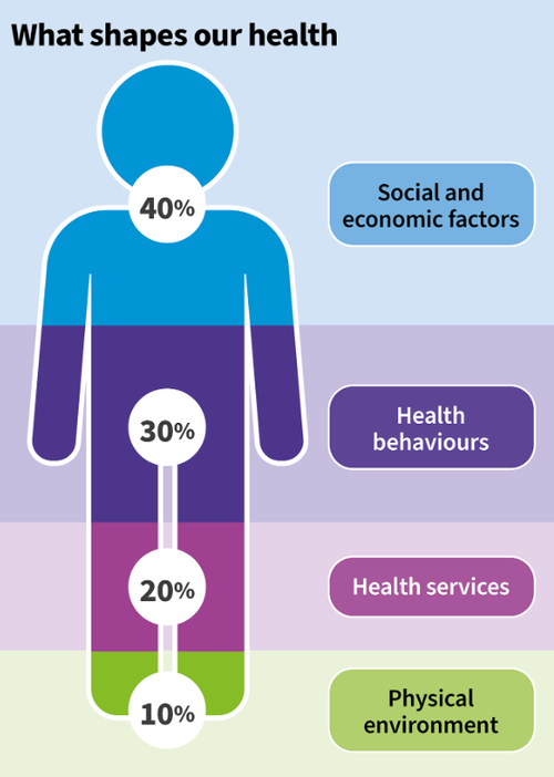 Health inequalities and the social determinants of health — CHEX