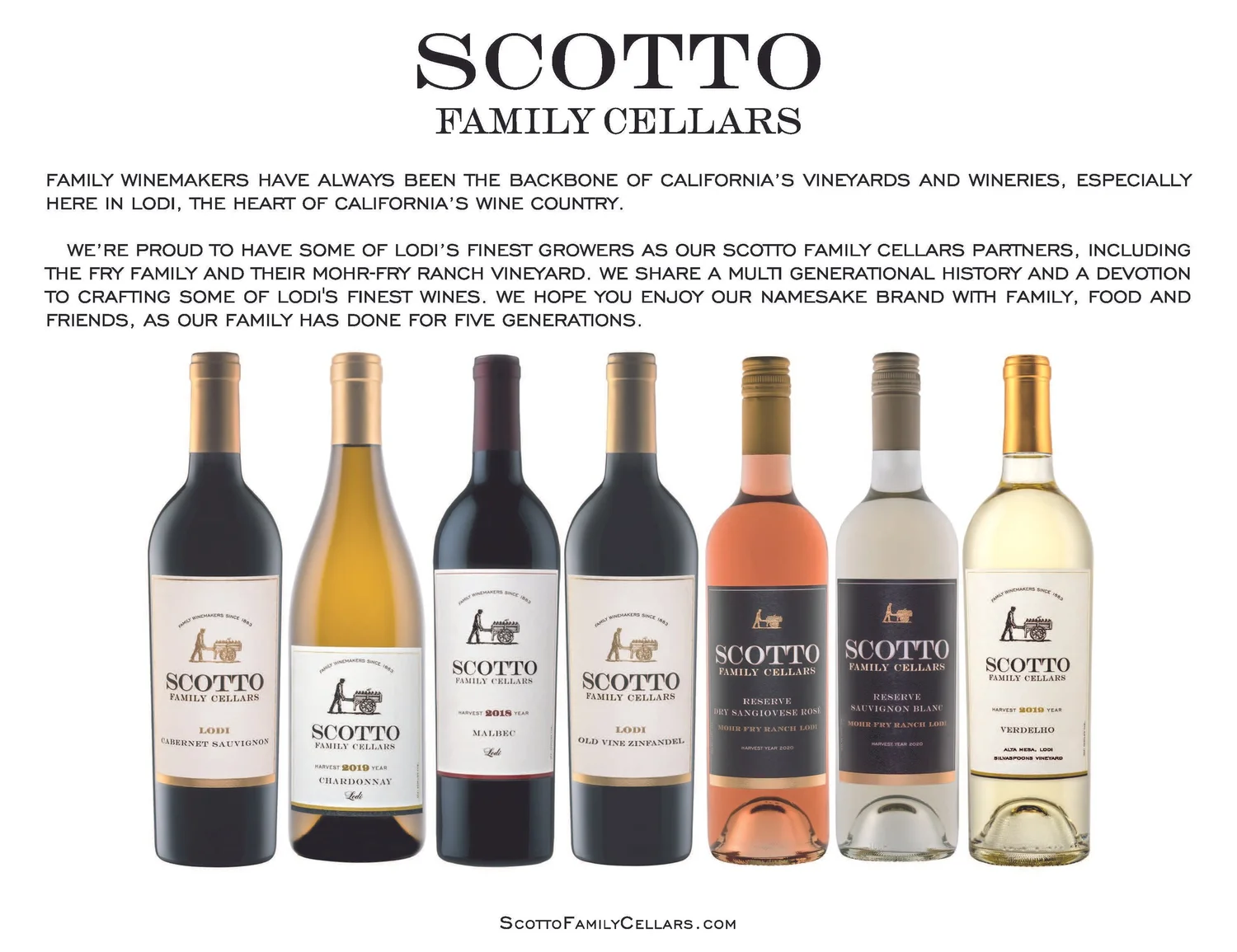 Scotto (Copy) — LNJ Brands Scotto (Copy) — LNJ Brands
