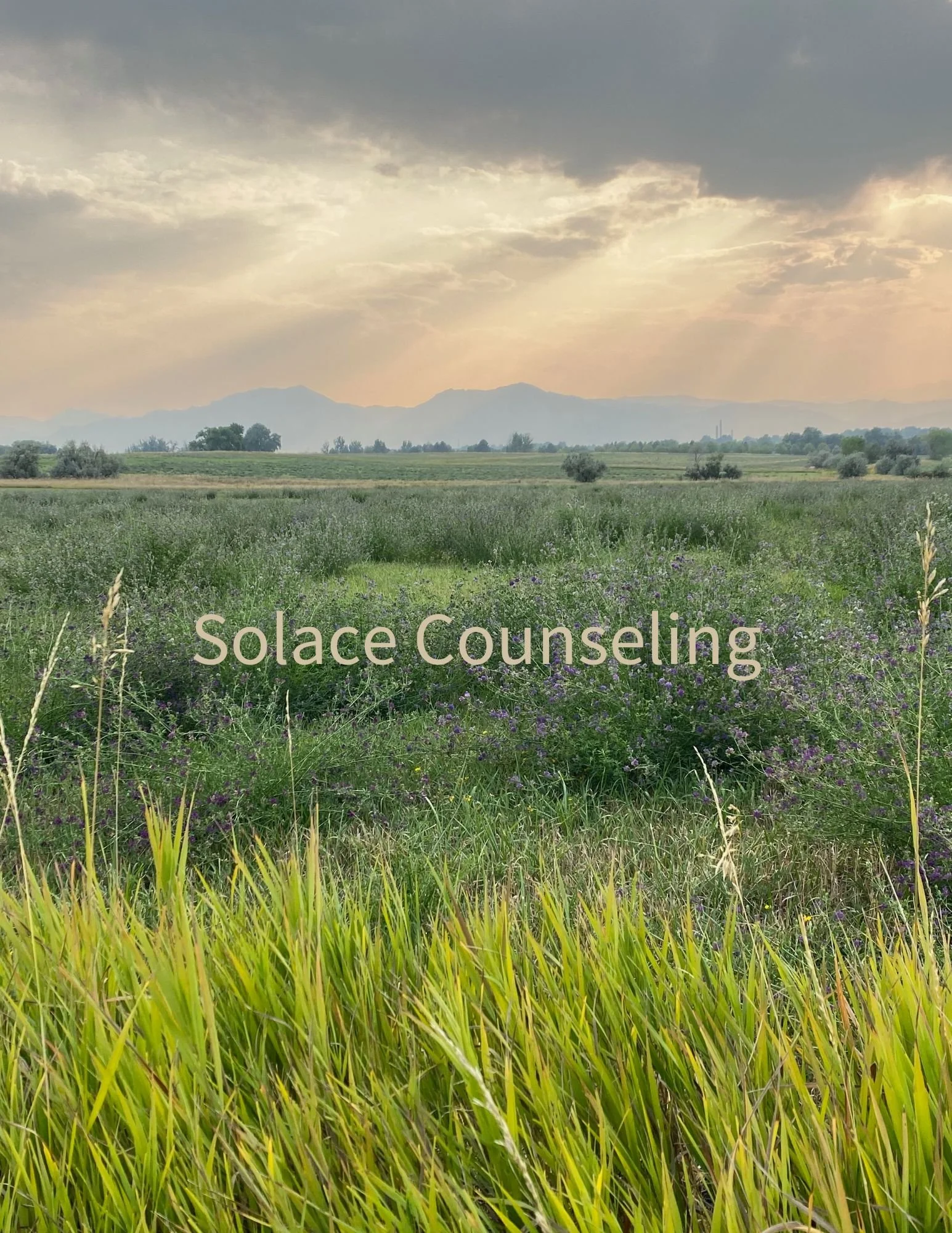 Solace Counseling