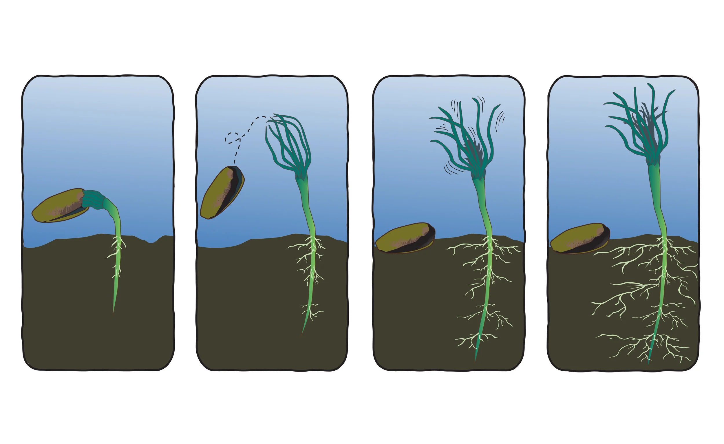 Tree Education | The Jonsteen Company