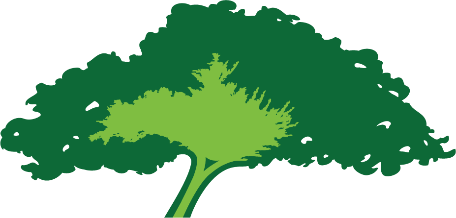 Grow the Actual OKC Survivor Tree! | The Jonsteen Company