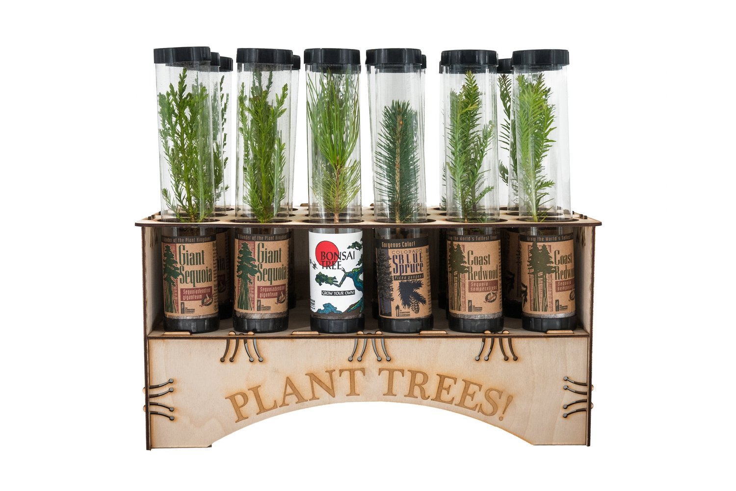 Show your stuff! | The Jonsteen Company