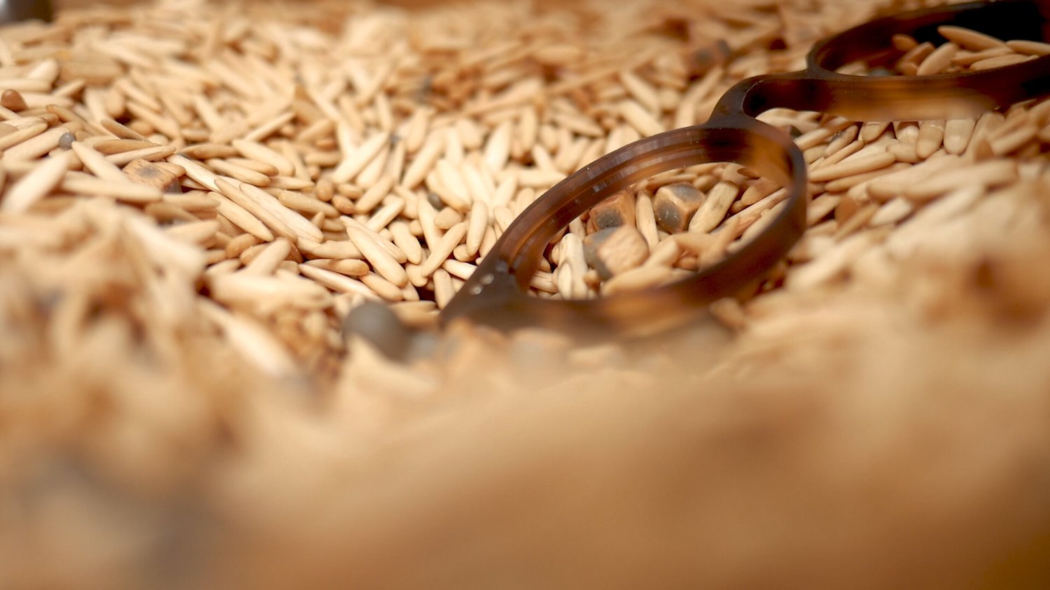Banton Frameworks — sam_does_design