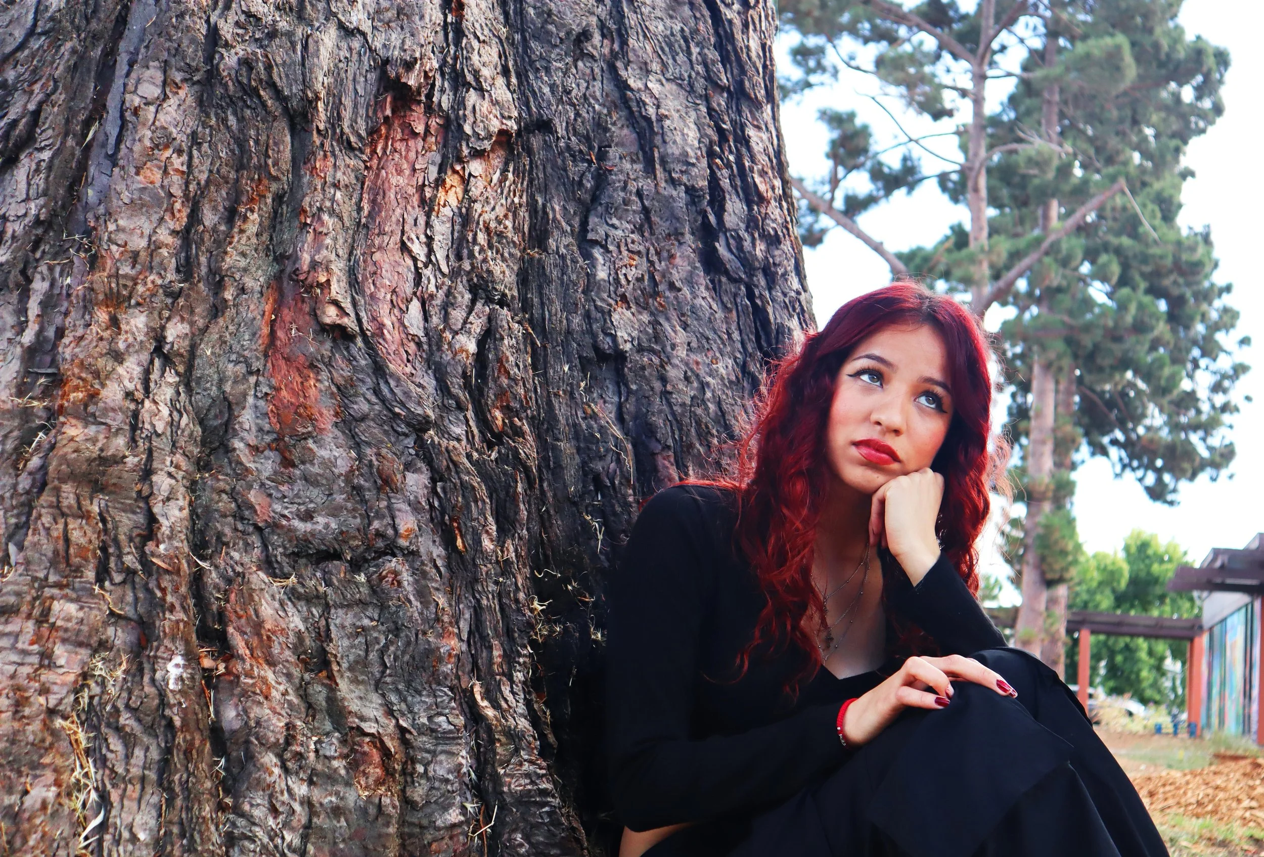 2023 Portraits — Oakland International Studios