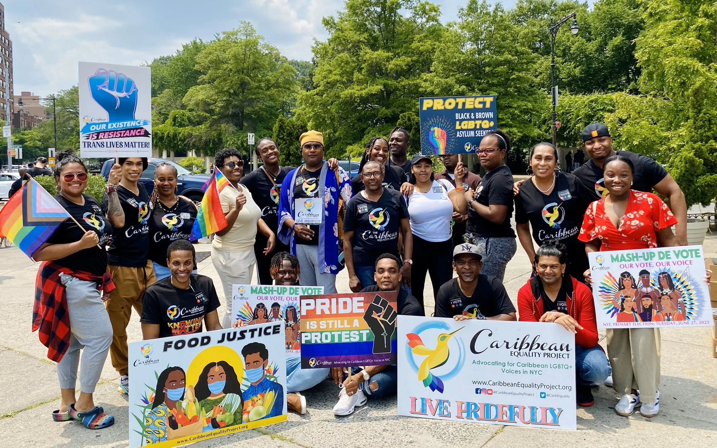 Volunteer — Caribbean Equality Project