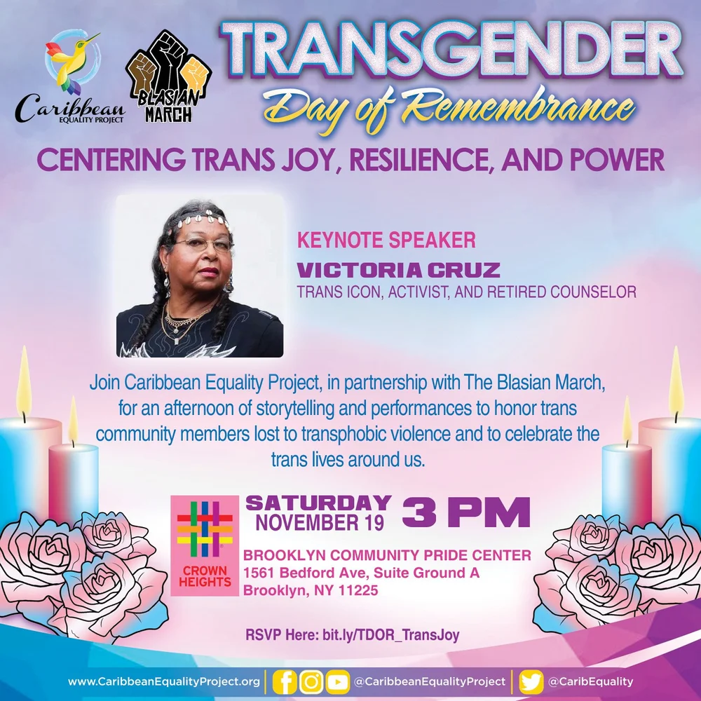 Trans Justice Unit — Caribbean Equality Project