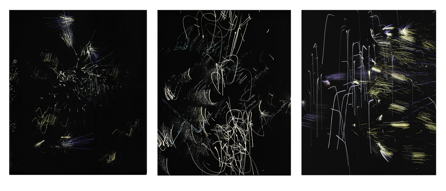 Black Triptych — Michael Walter