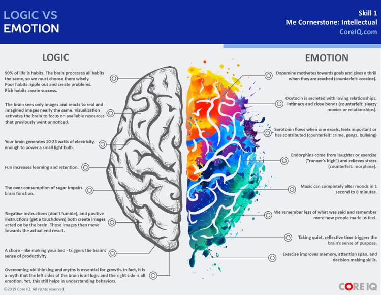 Skill 1: Logic vs Emotion — Core IQ