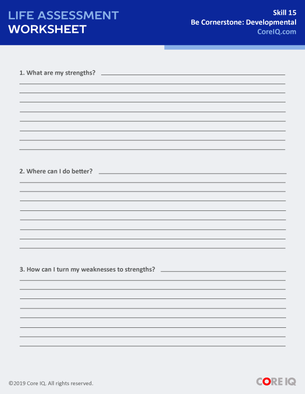 Skill 15: Life Assessment Wheel — Core IQ