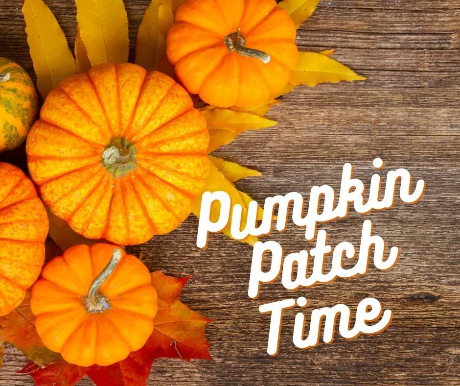 Sparks United Methodist Church — Current and Upcoming Events