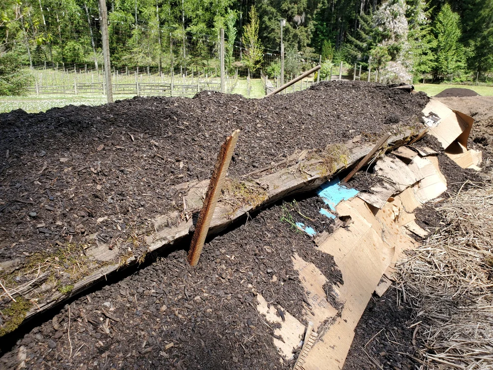 Soil Building — Nature's Gardener