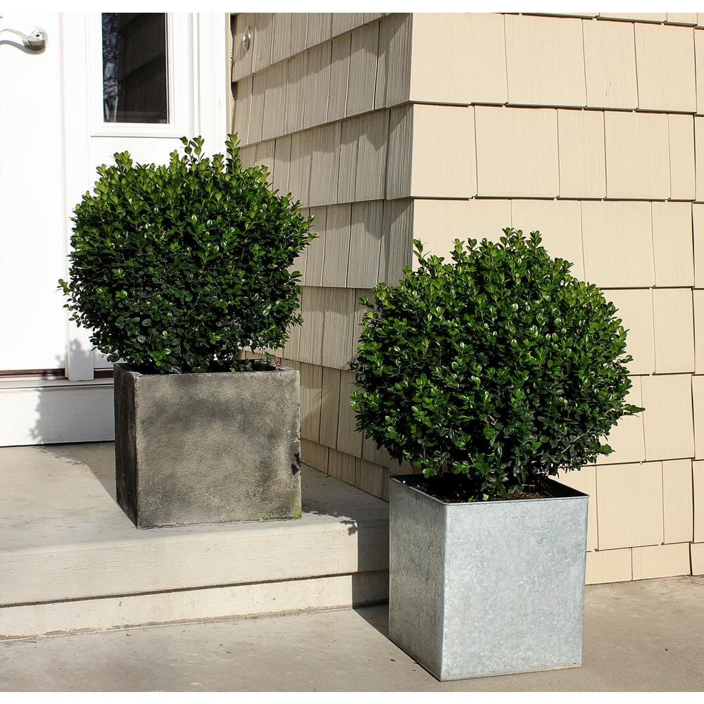 Curb Appeal: 8 Tips for Enhancing Your Front Entry — LIVEN DESIGN