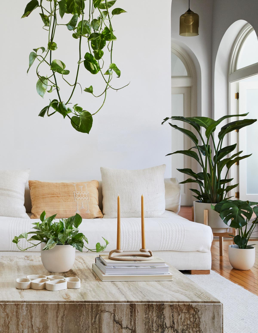 The Top 10 Indoor Plants for the Home — LIVEN DESIGN