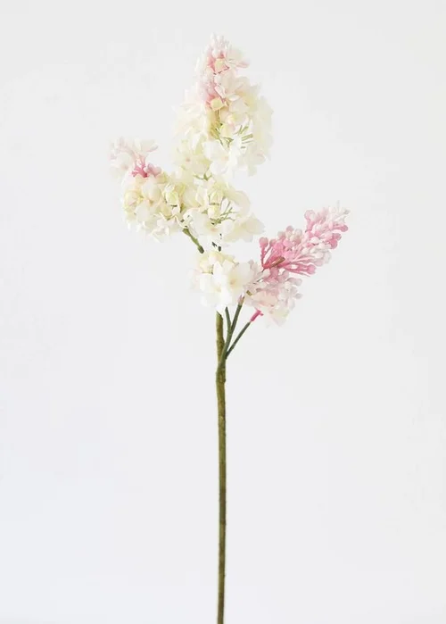 Top Picks For Dried & Faux Spring Florals — LIVEN DESIGN