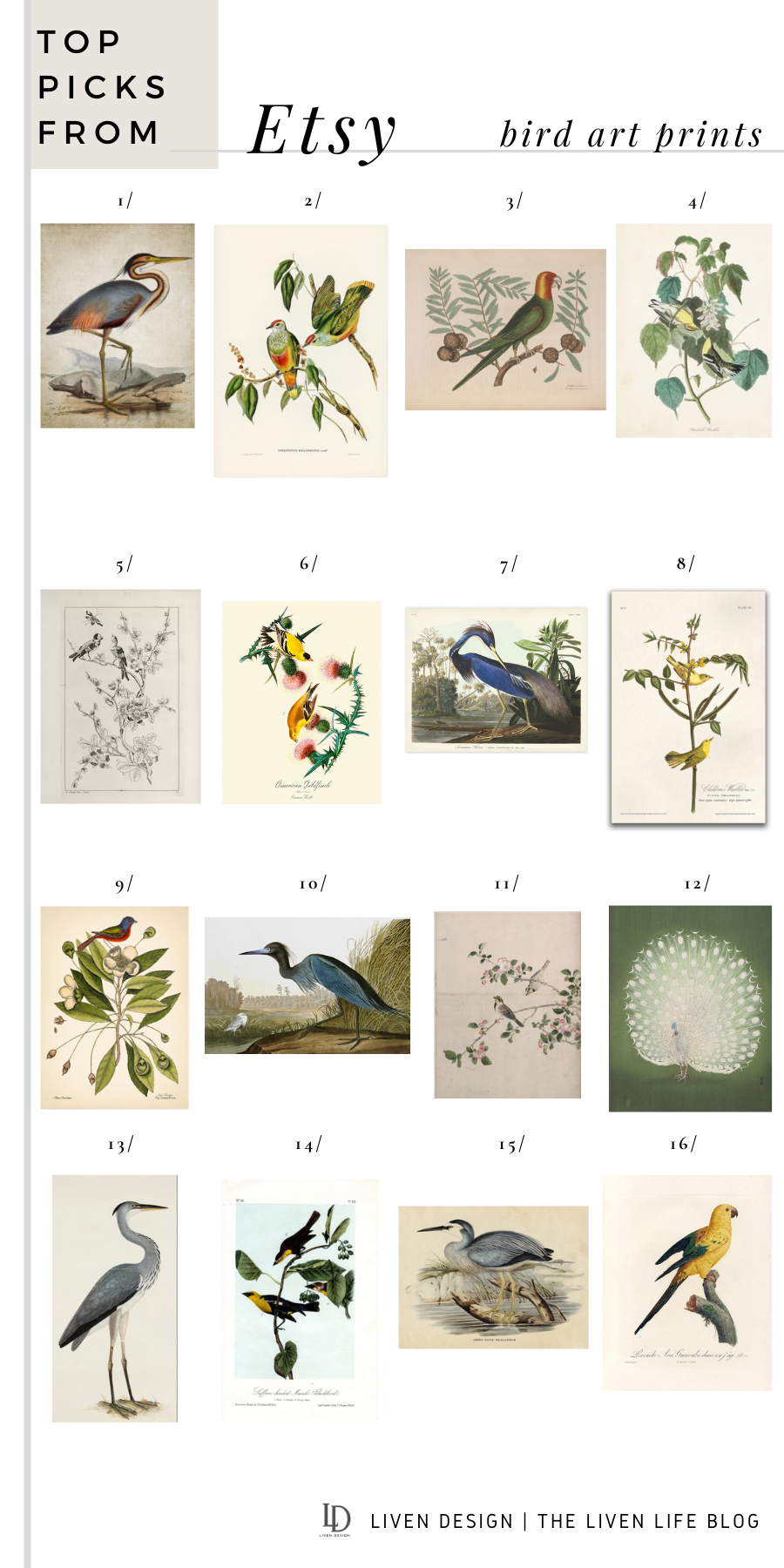 Favorite Bird Art Prints from Etsy — LIVEN DESIGN