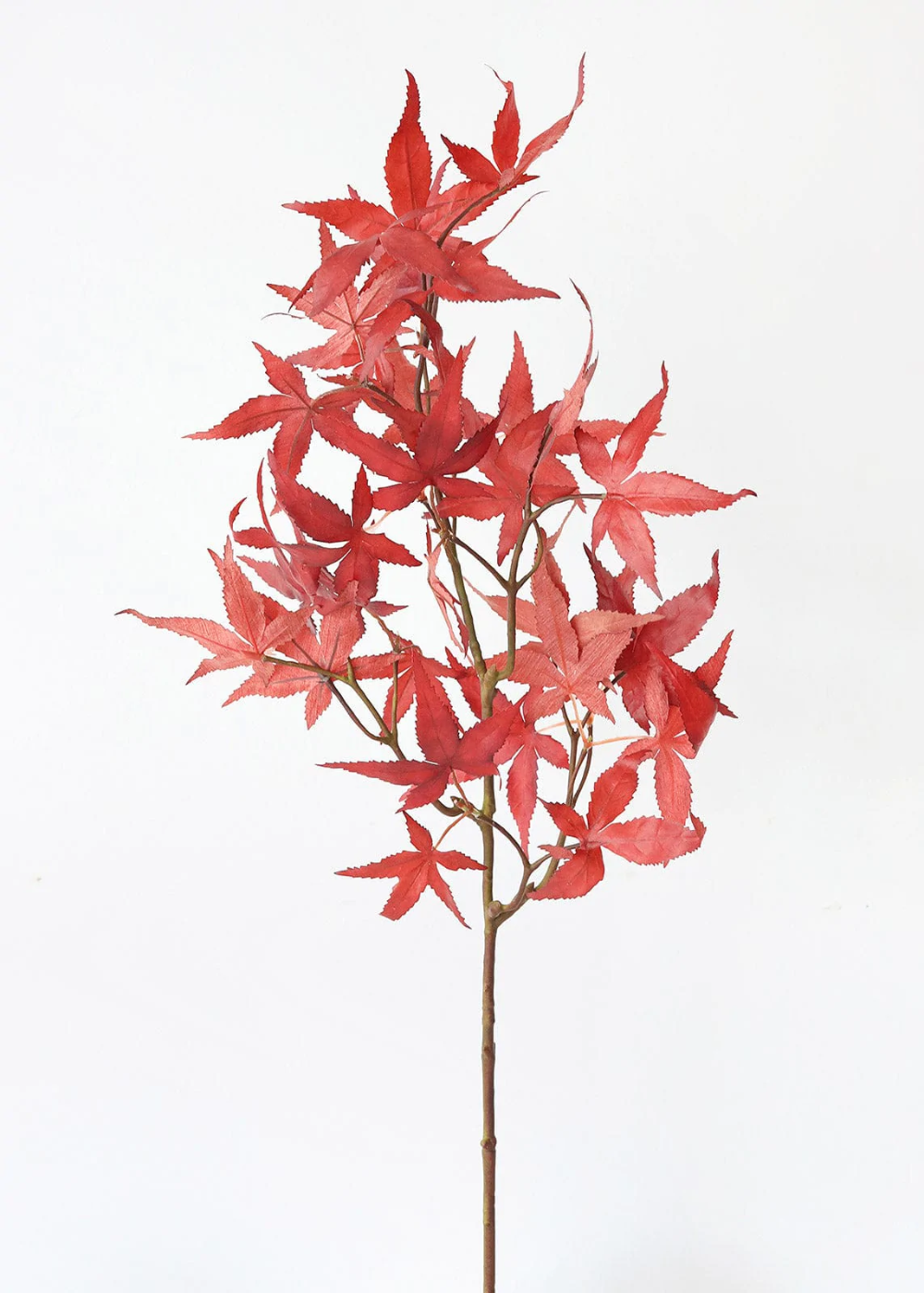 Favorite Fall Floral & Greenery From Afloral — LIVEN DESIGN