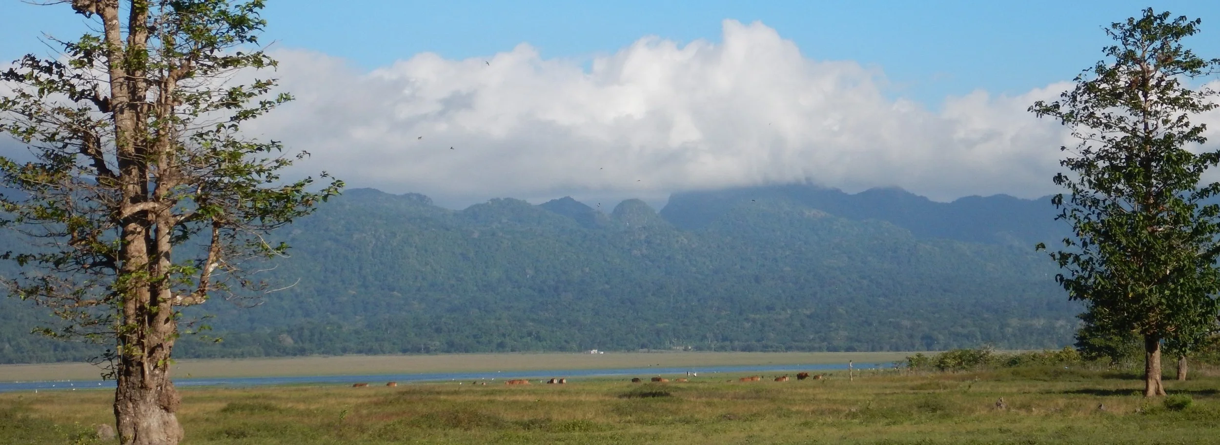 Timor Leste — Tropical Turtle Group