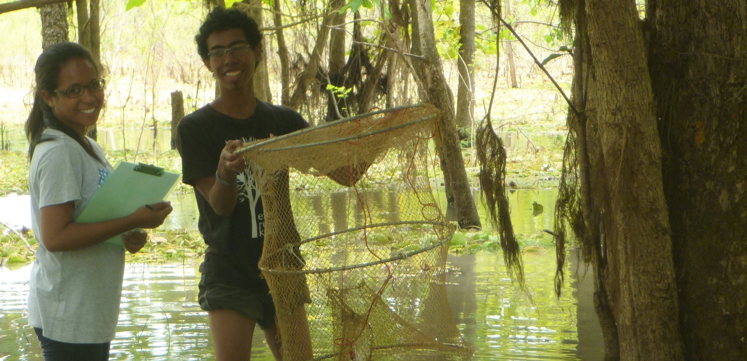 Projects — Tropical Turtle Group
