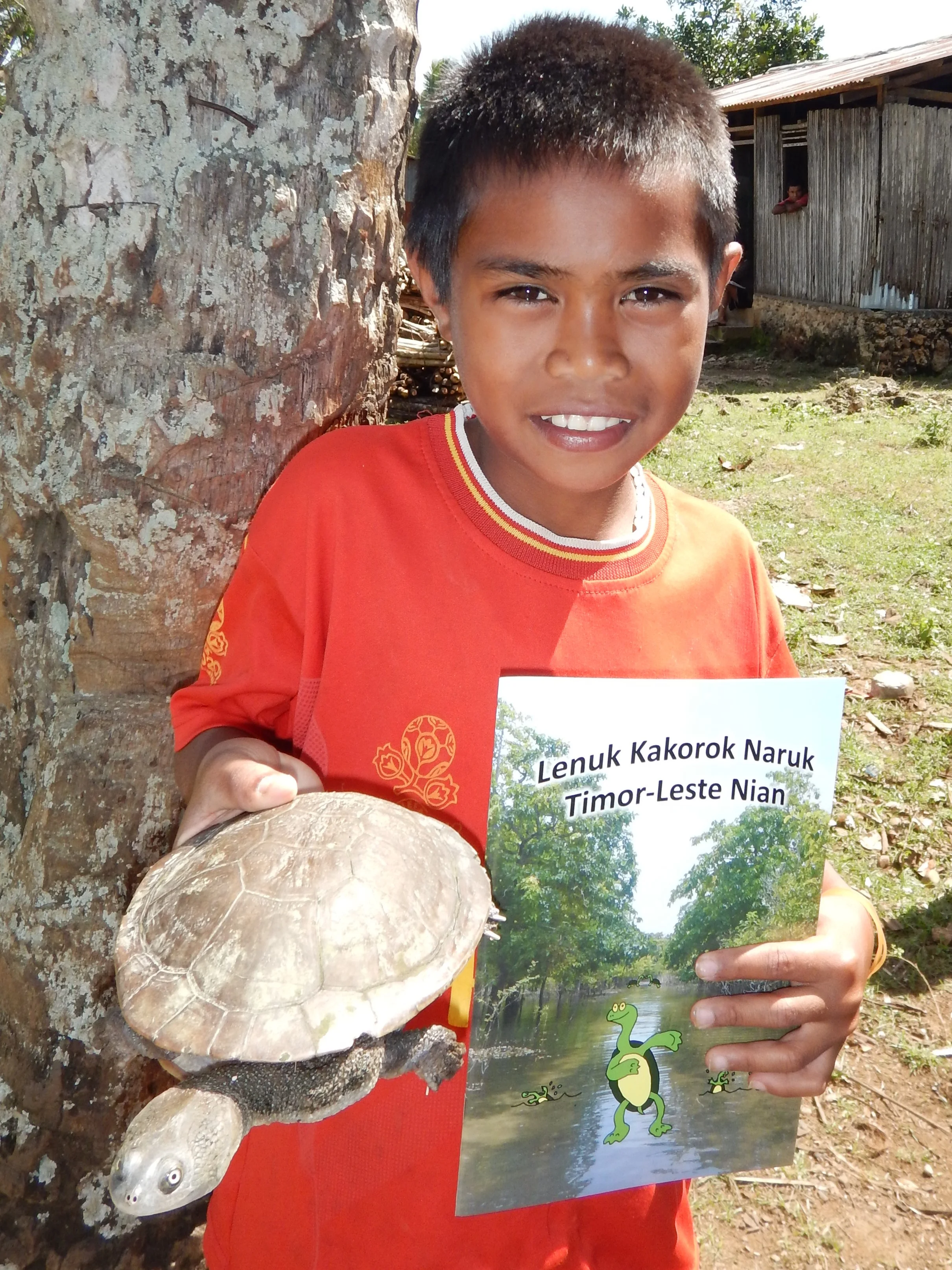 Timor Leste — Tropical Turtle Group
