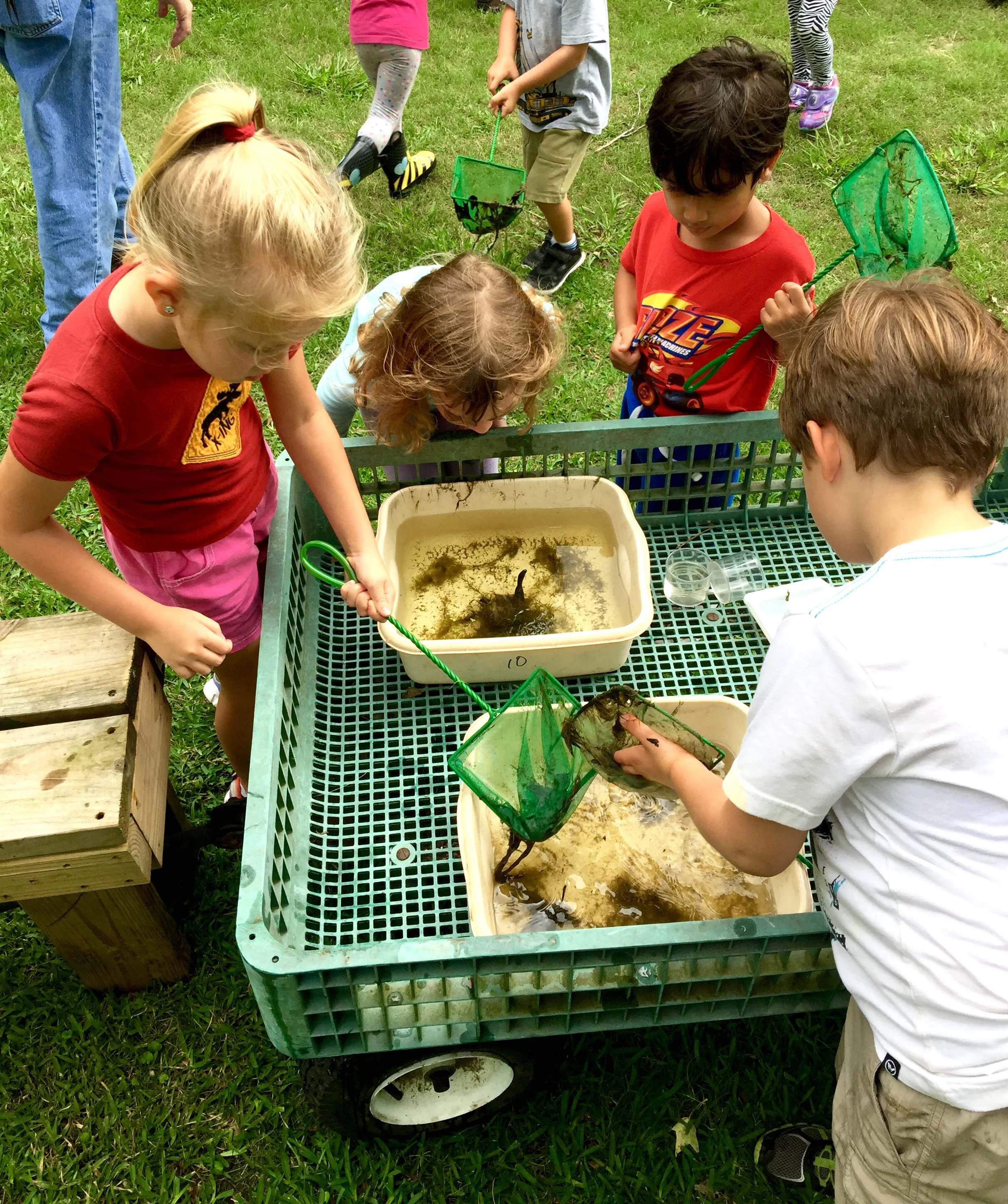 Pond Life — ABNC