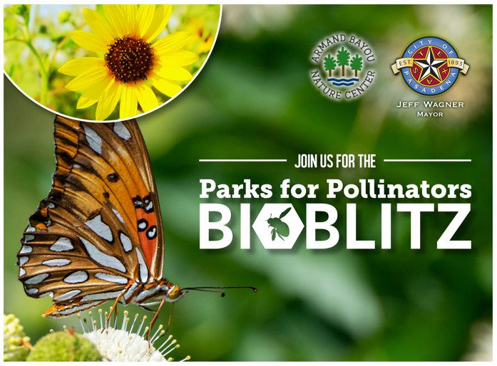 Parks for Pollinators — ABNC