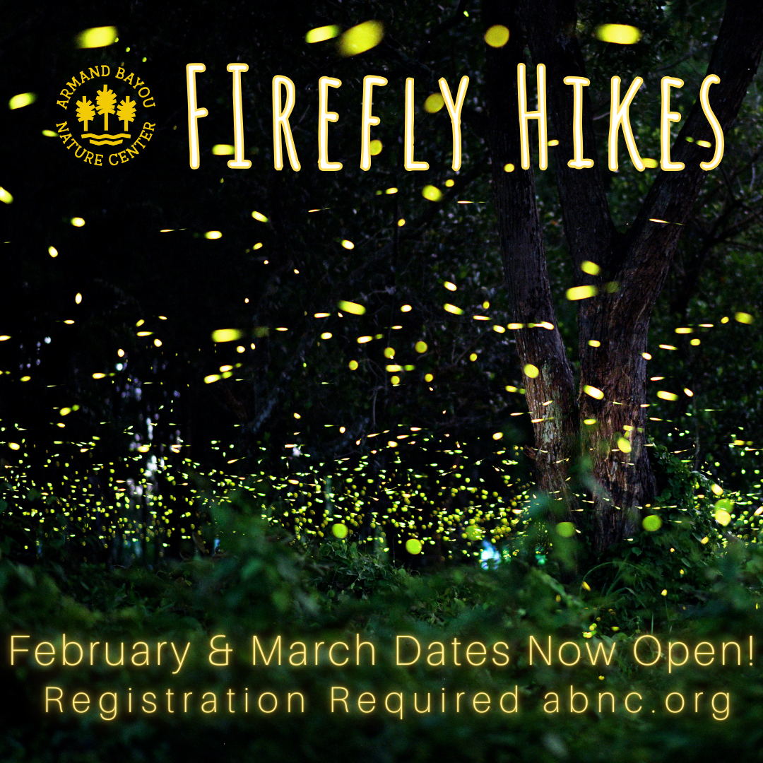 Armand Bayou Nature Center