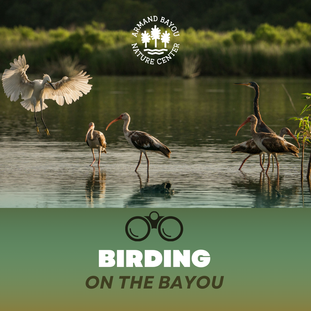 Armand Bayou Nature Center