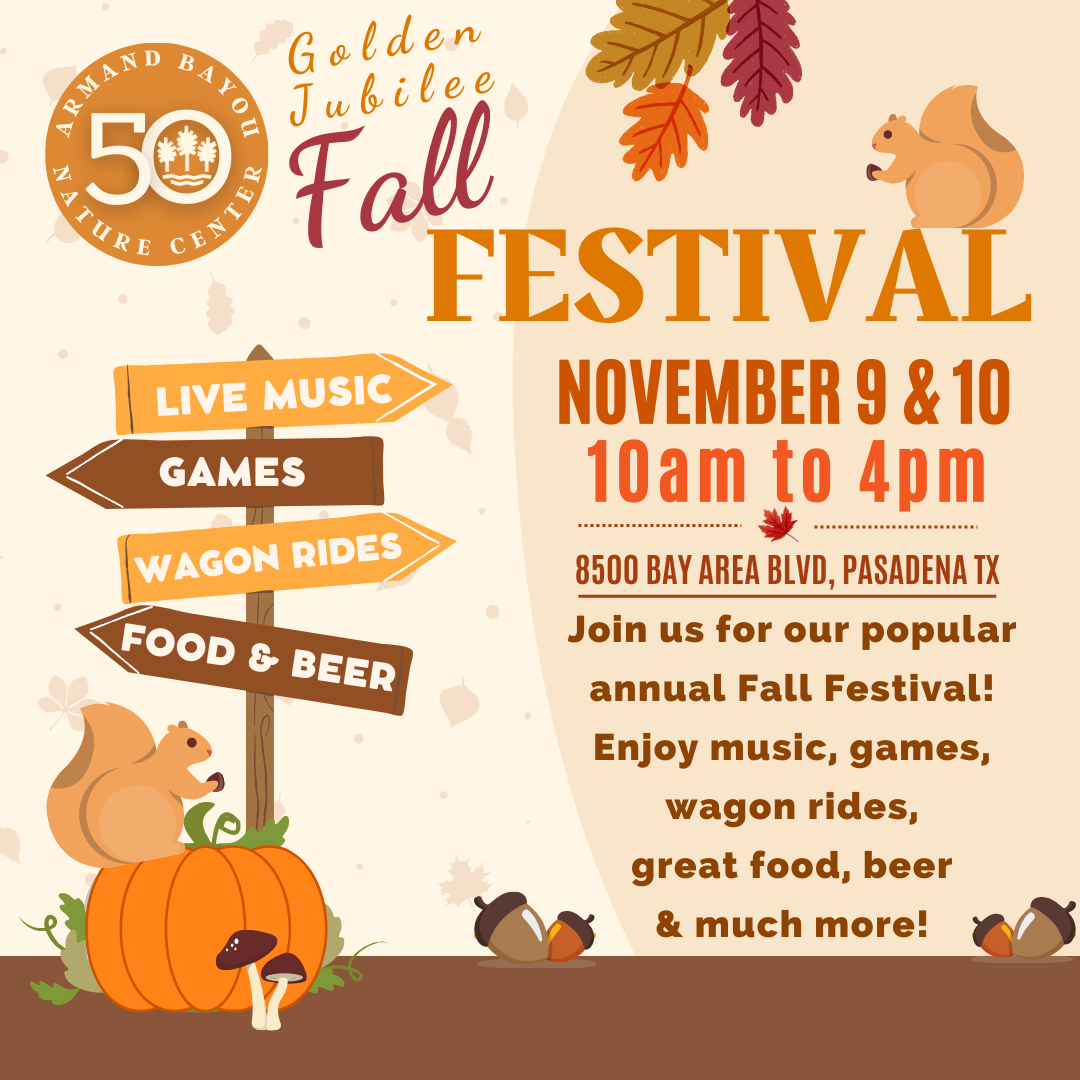 Annual ABNC Fall Festival — ABNC