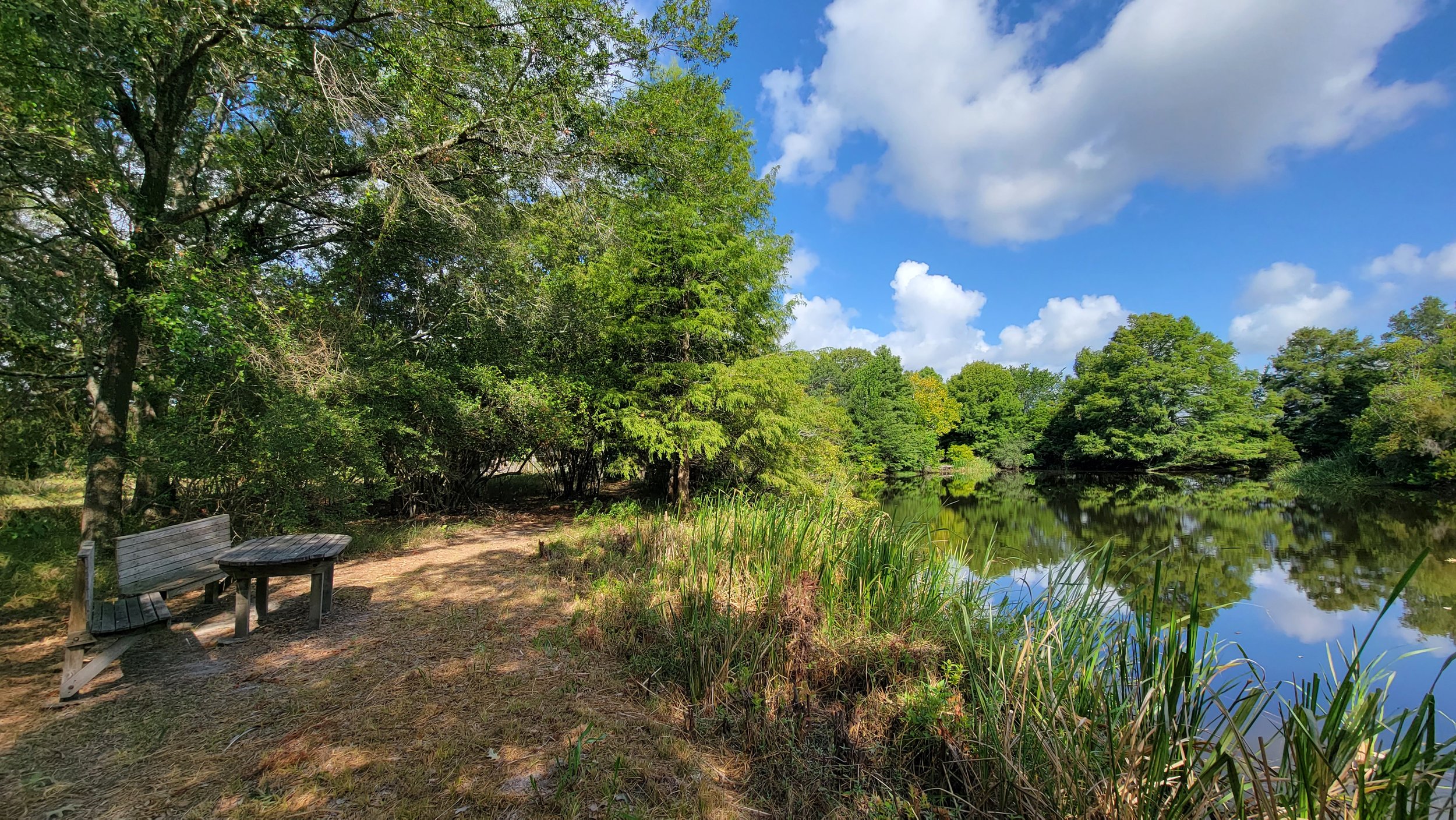 Pond Dip-netting, family fun with science. Learn about pond ecology and ...