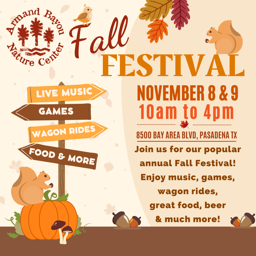 Annual ABNC Fall Festival — ABNC