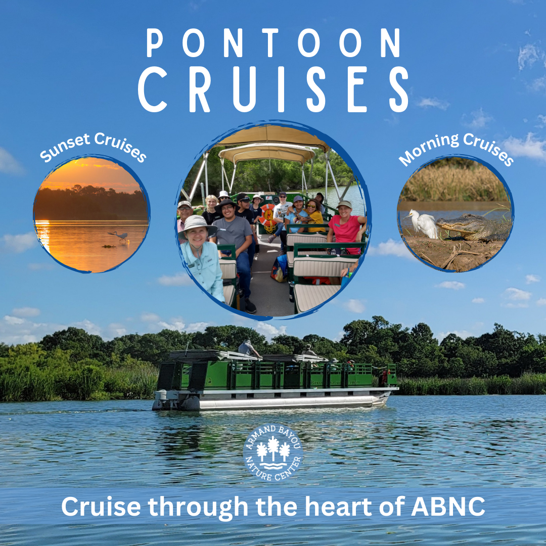 Armand Bayou Nature Center